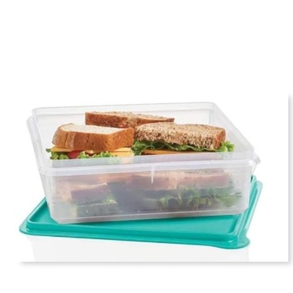 Tupperware | Kitchen | Tupperware Snackstor Containernwot | Poshmark